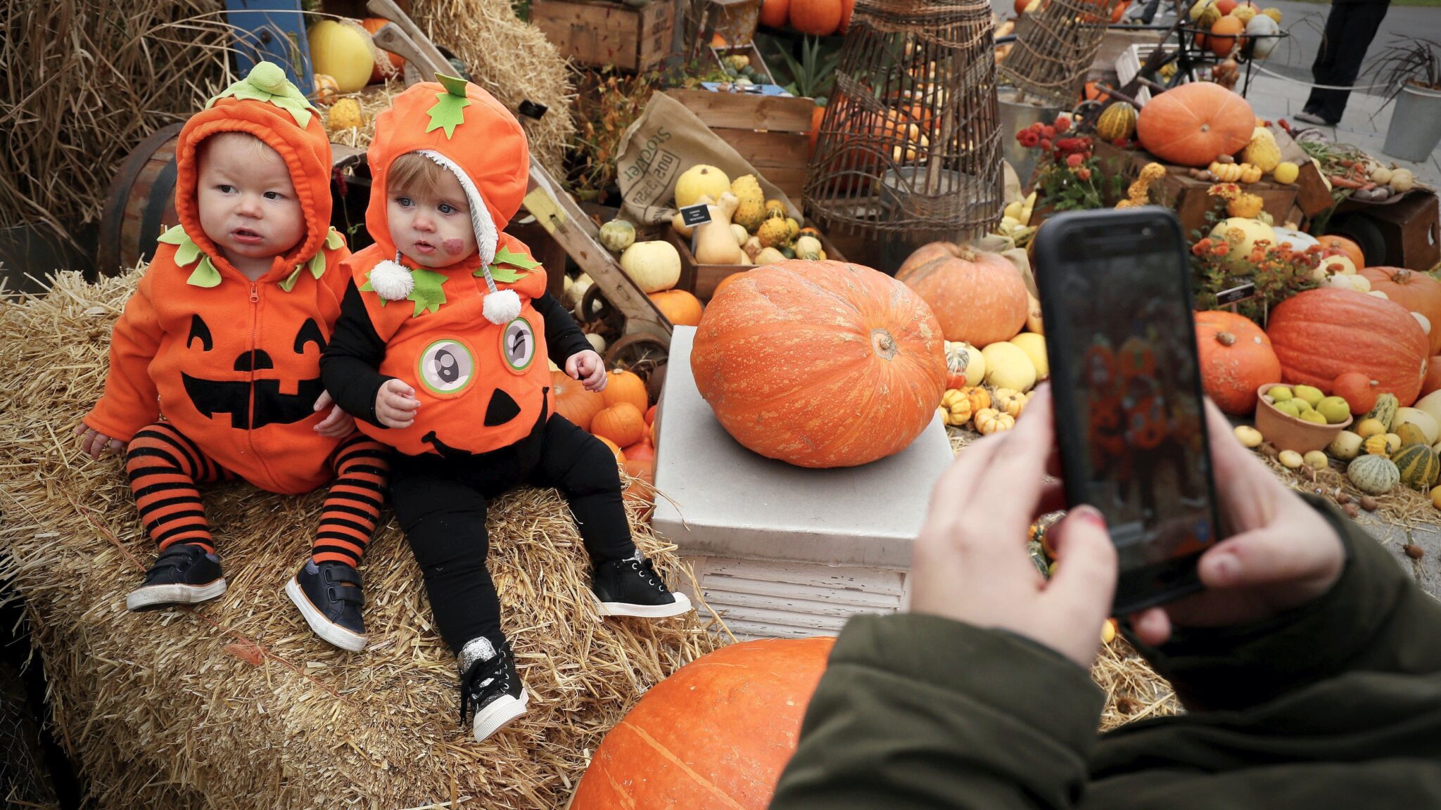 Festeja Halloween en Estados Unidos | Viajes Boreal